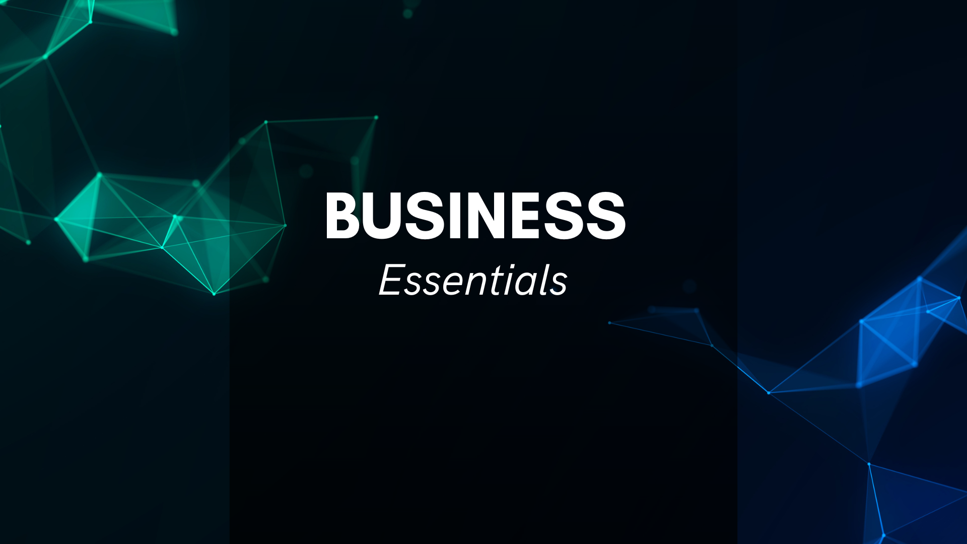 Business Essentials Course | Stellietech