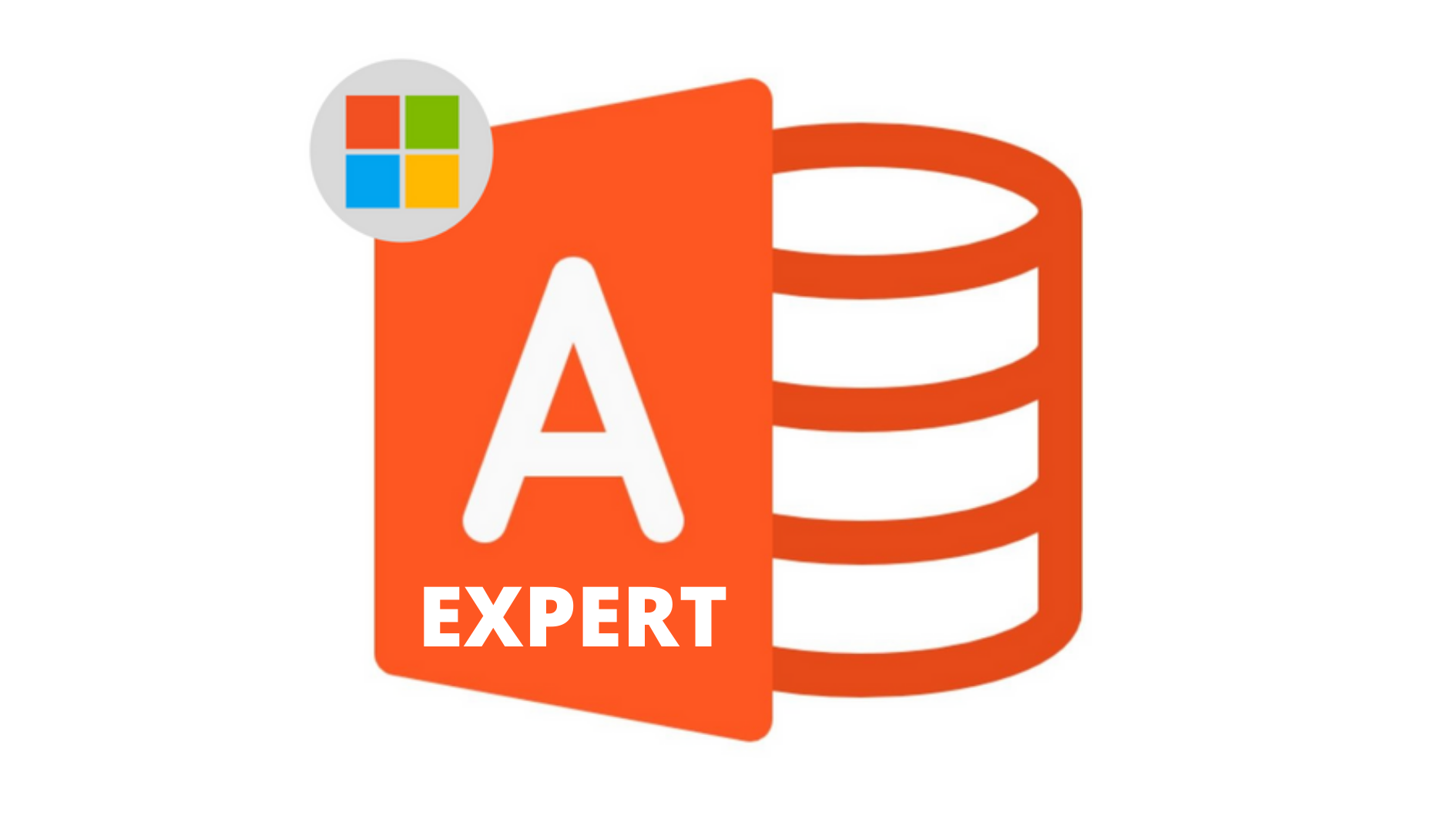 Microsoft Office Access Expert Course