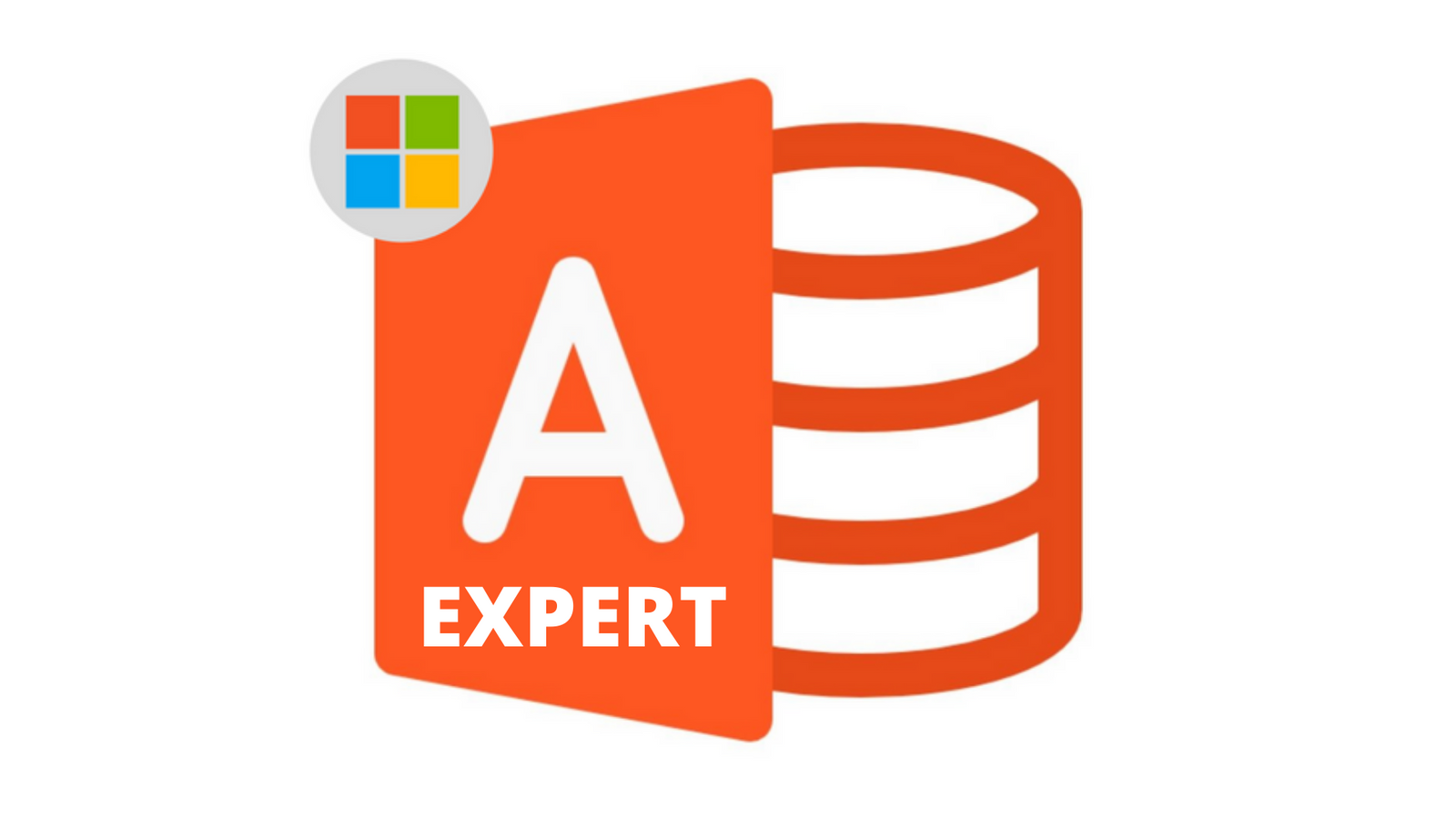Microsoft Office Access Expert Course